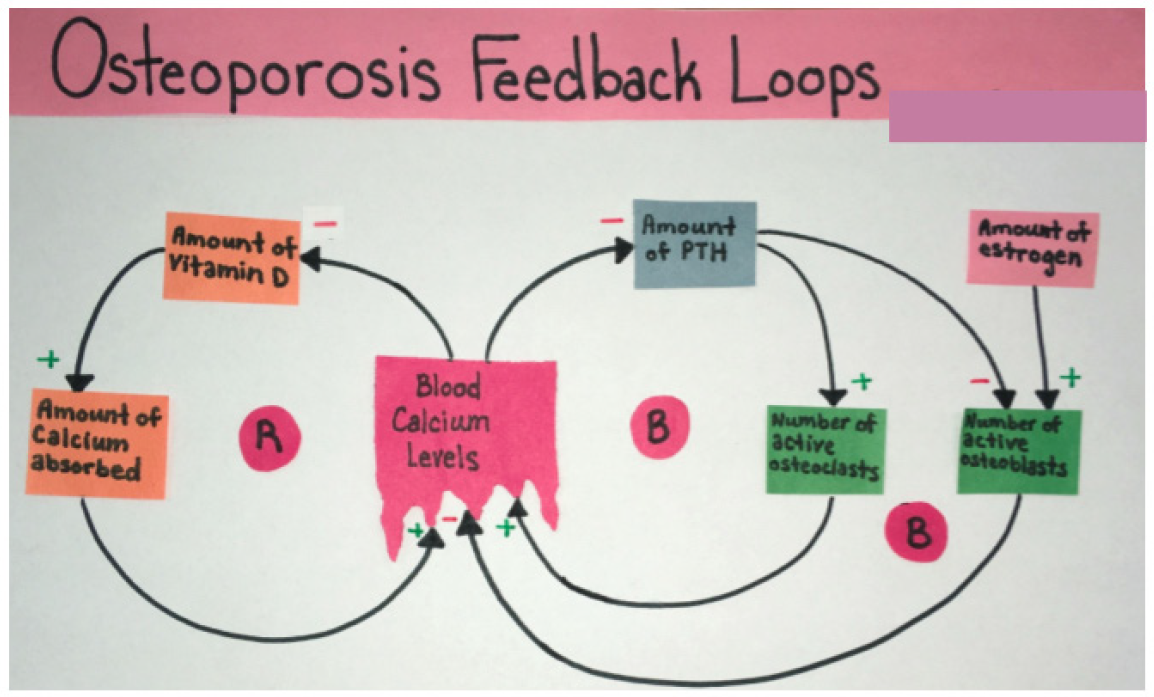 Creative Learning Exchange